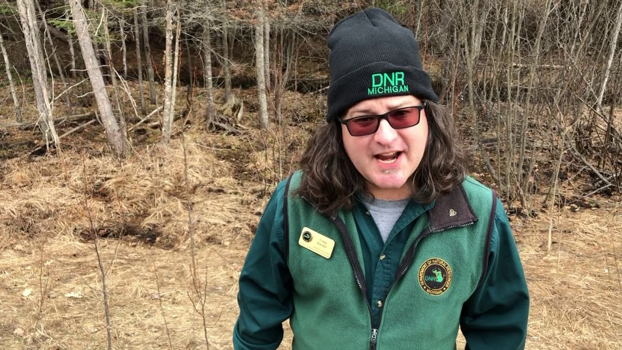 Hartwick Pines Tree Detectives Tamarack - YouTube