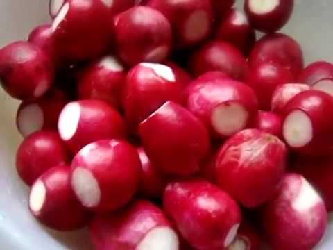 Washing, Cleaning, preparing, and grinding radishes in Vitamix 4 ...