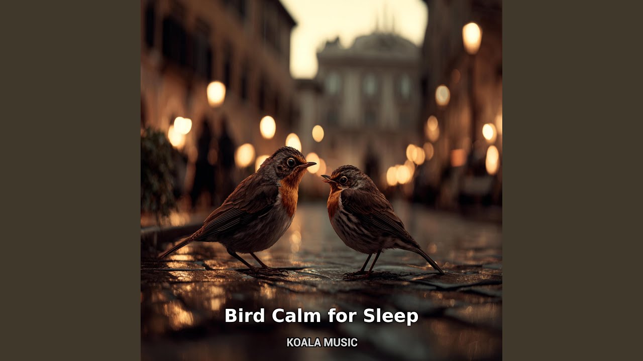 Bird Calm for Sleep: Gentle Sounds for Rest, Pt.16 - YouTube