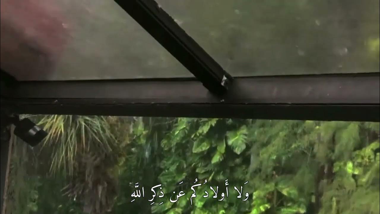 ﴿يا أَيُّهَا الَّذينَ آمَنوا لا تُلهِكُم أَموالُكُم﴾ Youtube