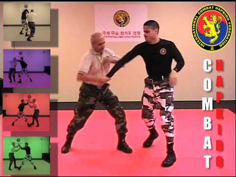 Combat Hapkido "Demo 2" - YouTube