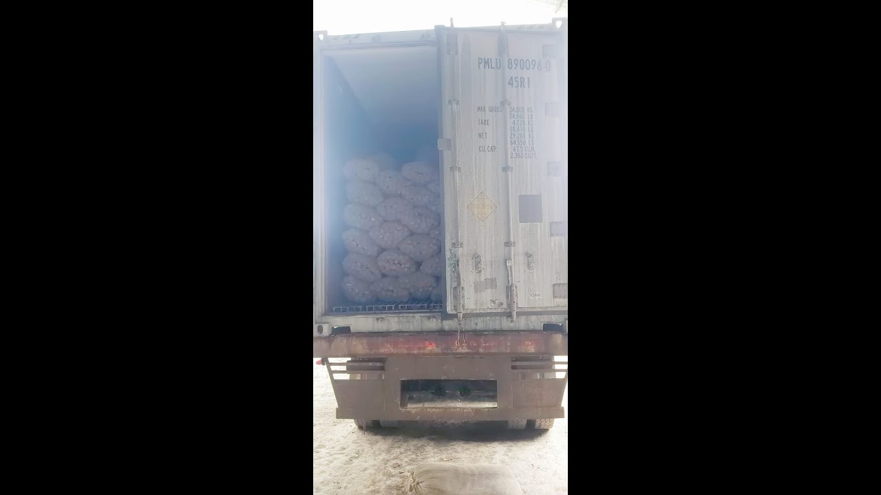 Onion container loading I BigSpace Global - YouTube