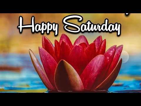 saturday good morning picture images !! Best good morning flower image