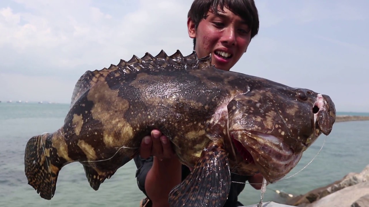 How to: Fish for grouper, Episode 1 - YouTube