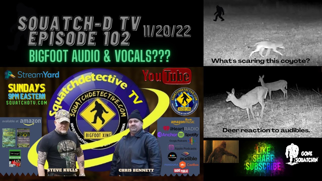 Bigfoot Audio and Vocals [Squatch-D TV Ep. 102] - YouTube