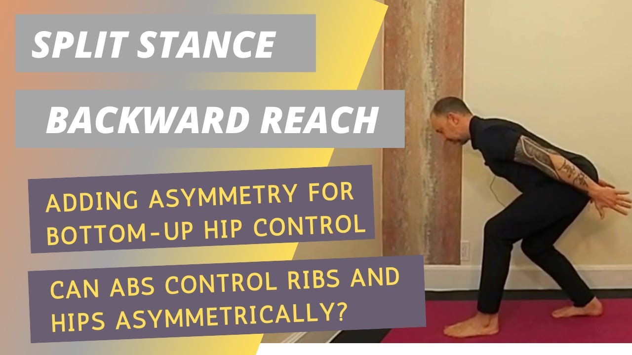 Split Stance Hinge and Backward Reach (Profile View) - YouTube