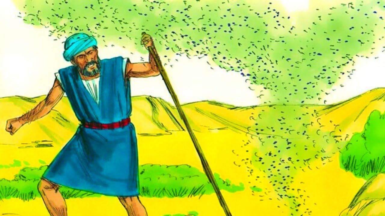 Bible Summary Series Part 83 - The Third Plague Lice - Exodus 8:16-19 ...