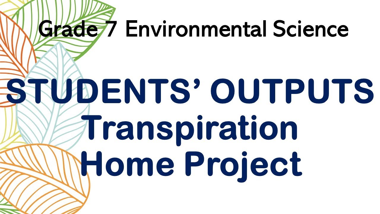 TRANSPIRATION ACTIVITY AT HOME * GRADE 7 ENVIRONMENTAL SCIENCE - YouTube