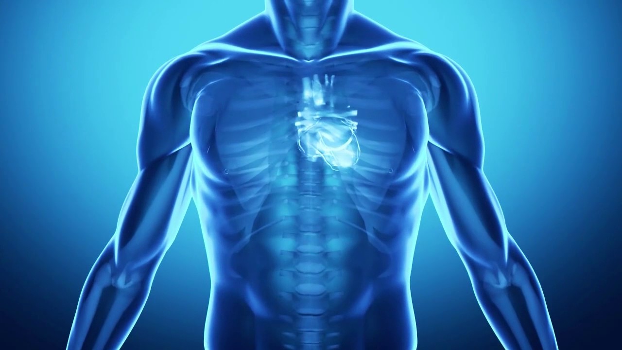 Medical Animation Animated Explainer Video - YouTube