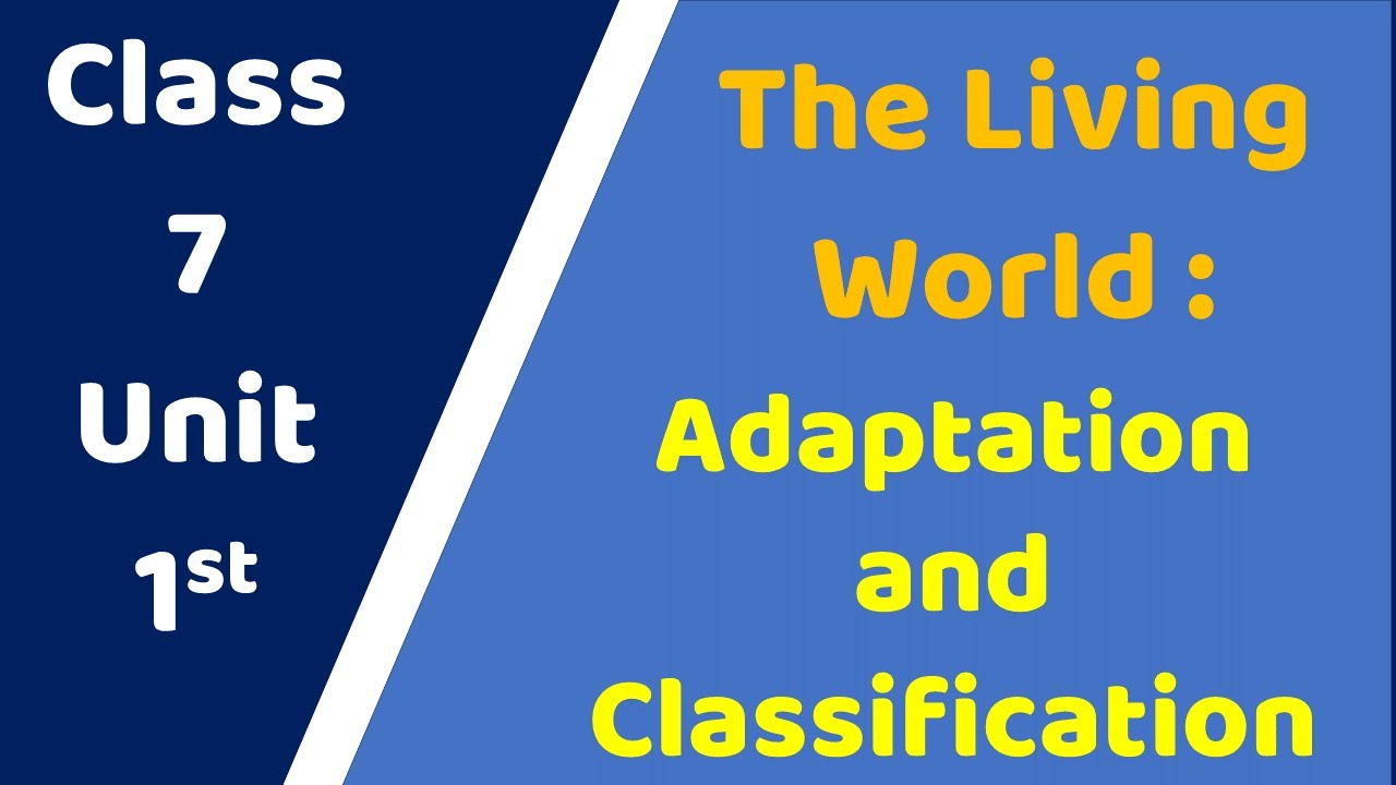 Class 7 | Lesson 1 | The Living World - Adaptations and Classification ...