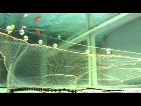 Danish seine and bottom trawl - YouTube