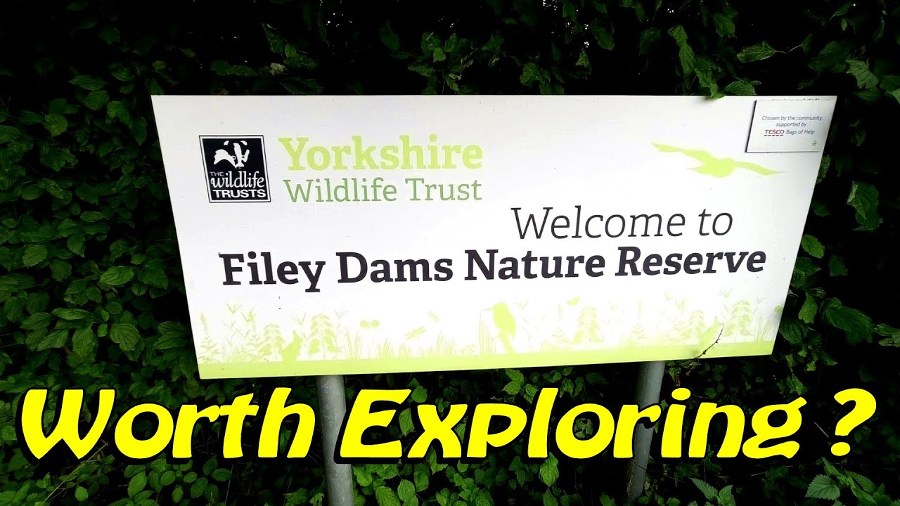 Exploring Filey Dams Nature Reserve - YouTube