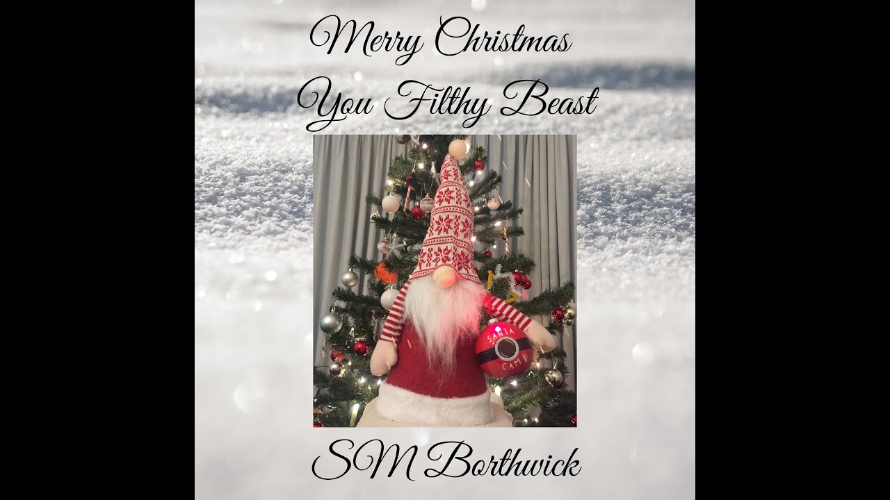 Merry Christmas You Filthy Beast by S M Borthwick (Official Home Movie ...