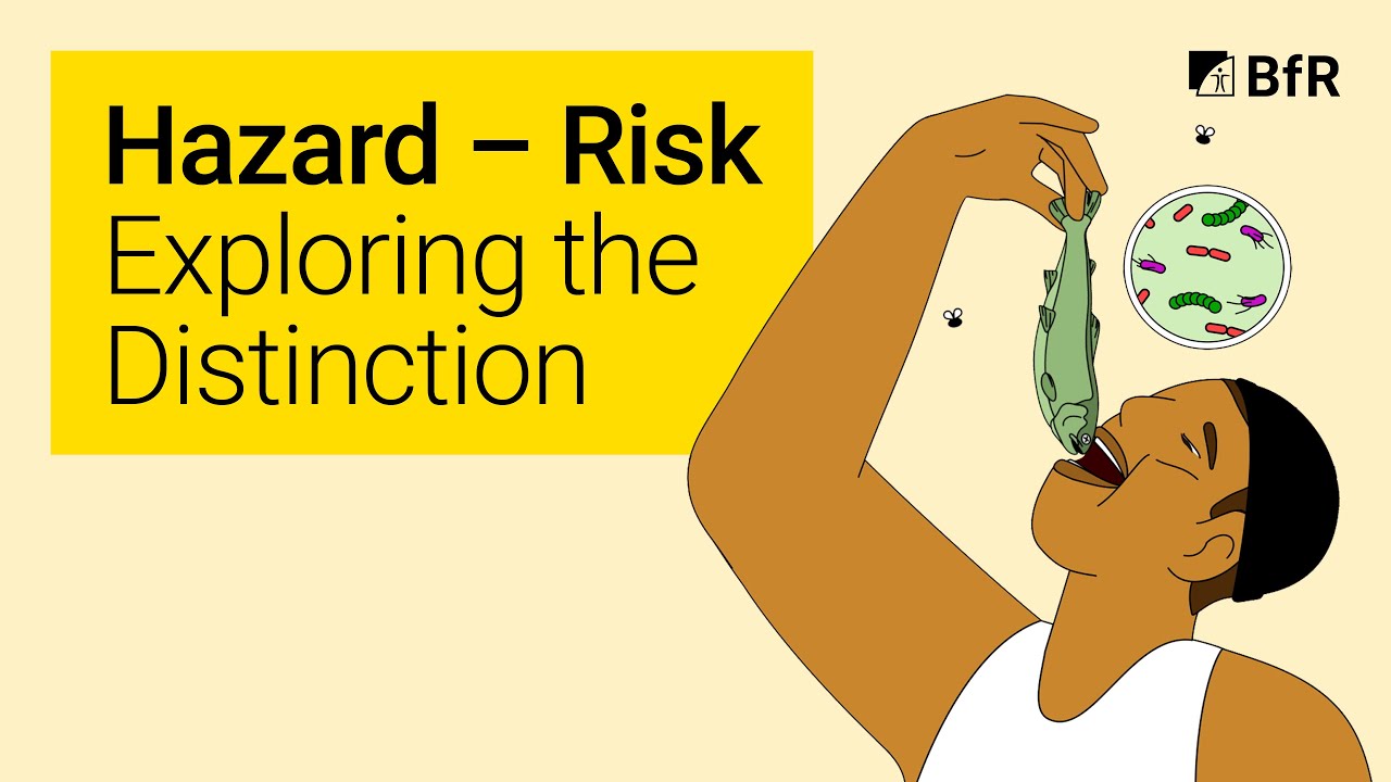 Hazard – Risk | Exploring the distinction - YouTube