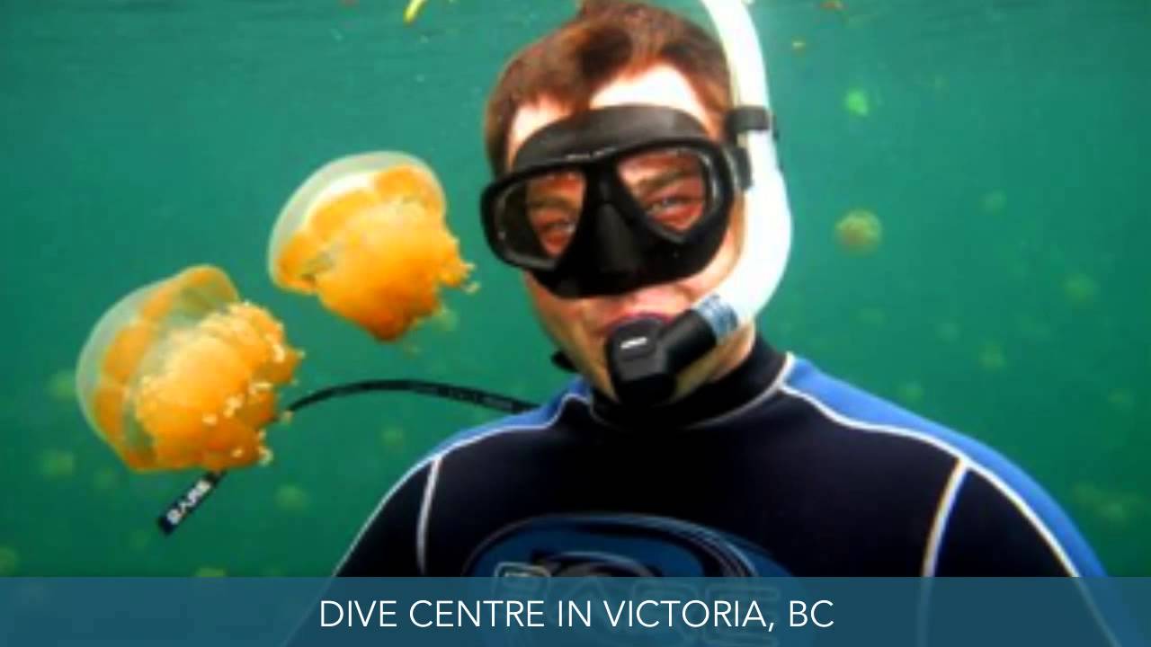 Dive Centre Victoria BC Ogden Point Dive Centre - YouTube