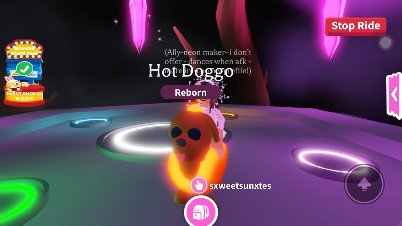 Making a Neon Hot Doggo and Getting a Chameleon! - YouTube