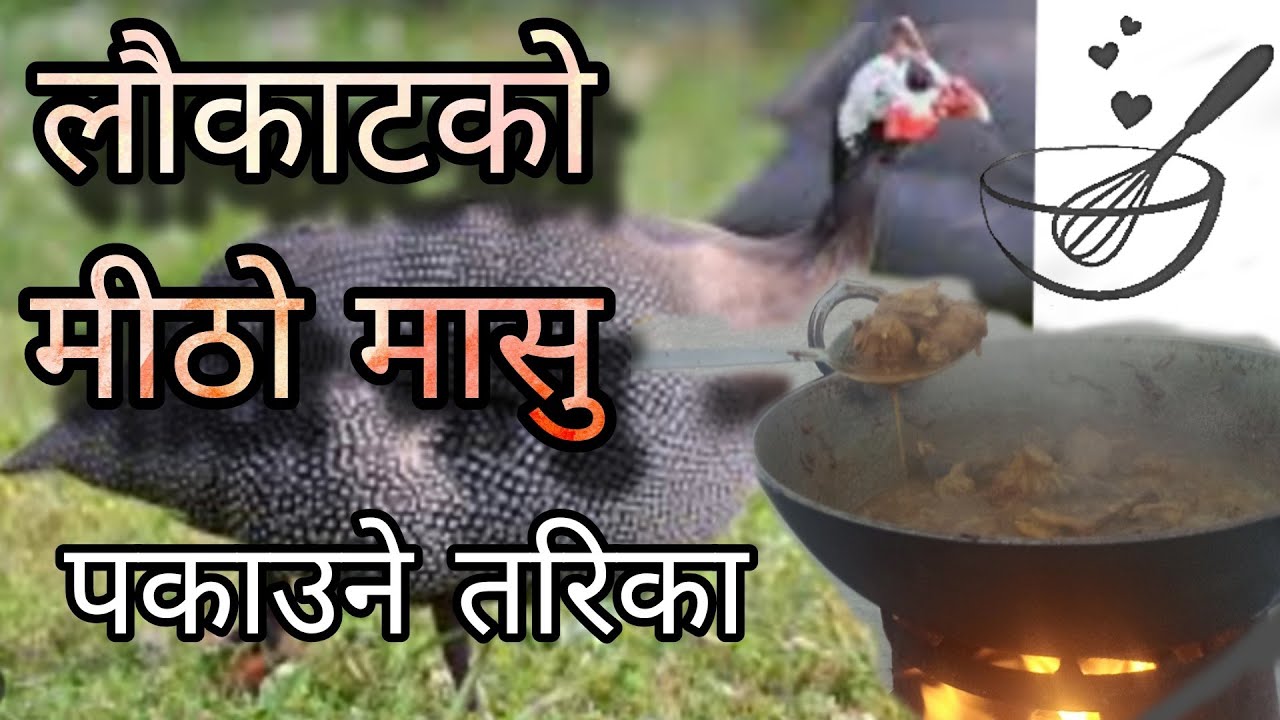 मीठो लाैकाटको मासु बनाउने तरिका - Laukat Meat Recipe in Nepali (Kalij ...