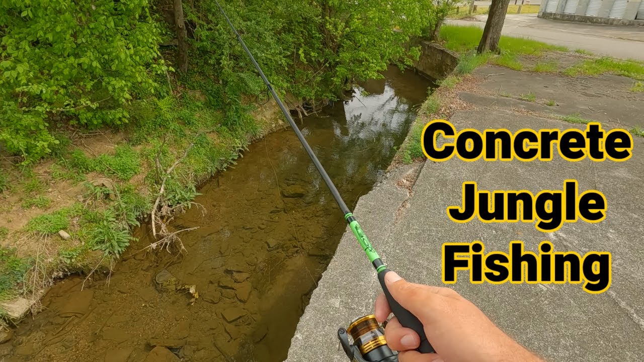 Drainage Ditch Fishing