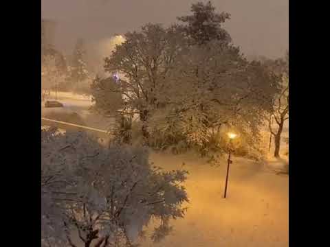 müthiş karyağışı🧿