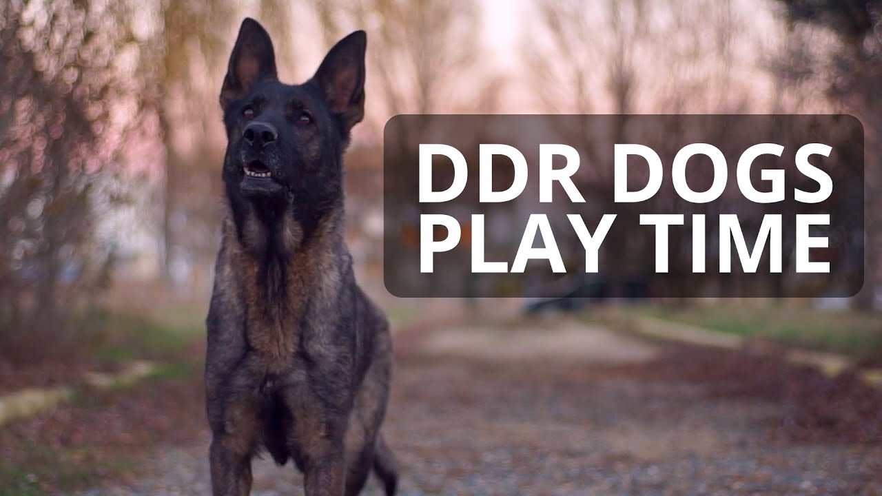 DDR Autumn Play Time - YouTube