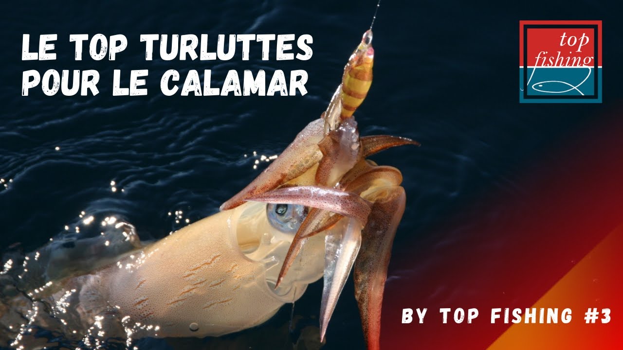 LE TOP#2 BY TOP FISHING🐟 TURLUTTES POUR LE CALAMAR ! - YouTube