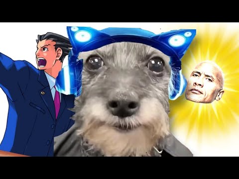 PERRO TONTO Vuelve - YouTube