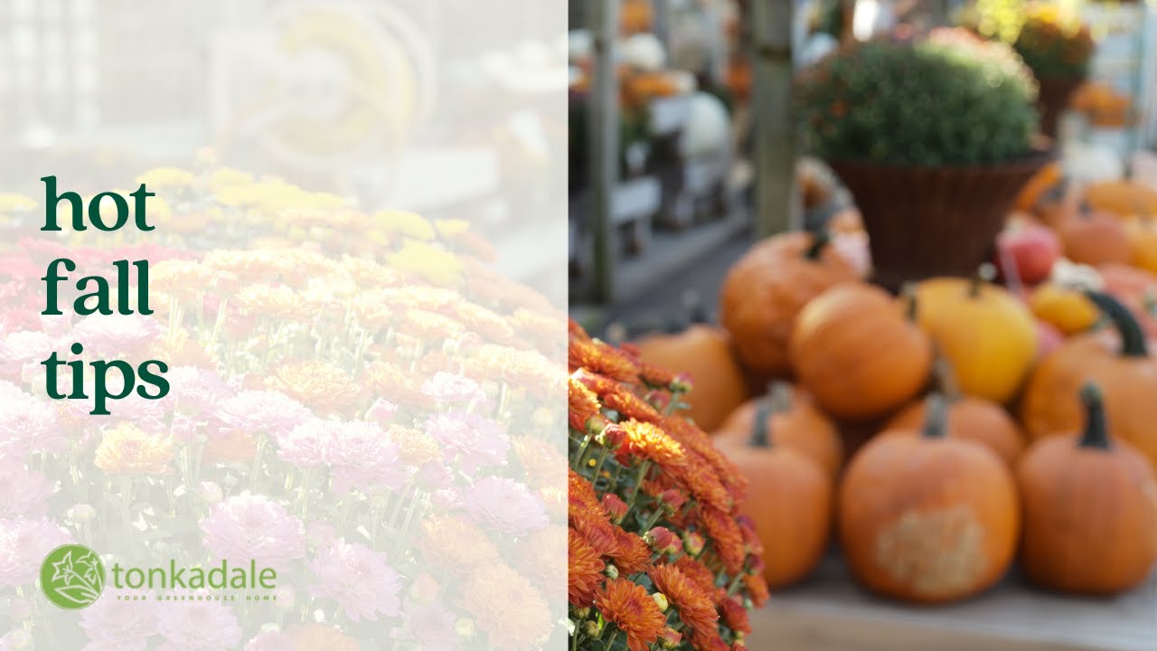 Hot Fall Tips - YouTube