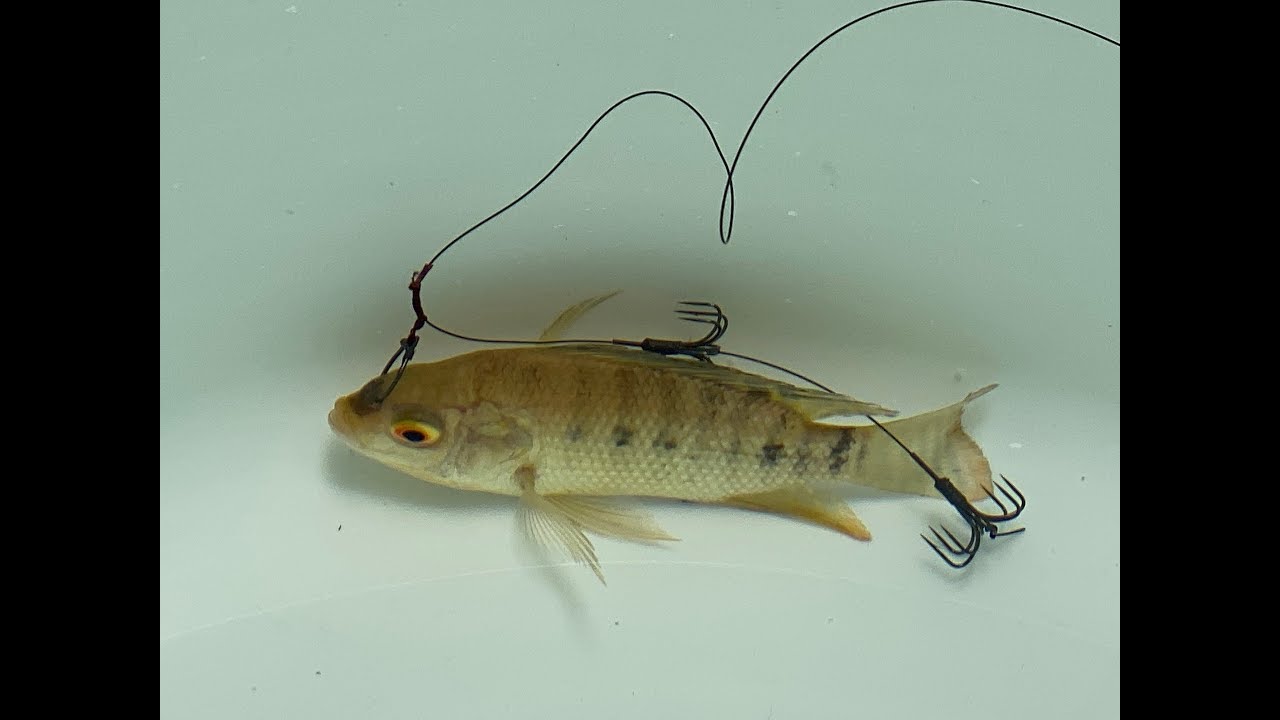 Japan Squid Fishing Rig - Fishing Bait - Thẻo Câu Mực Nhật Bản - YouTube