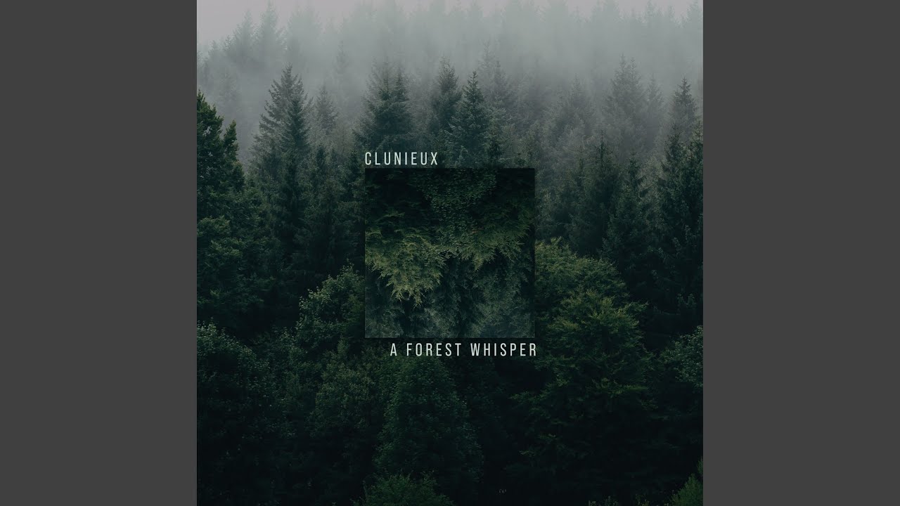 A Forest Whisper - YouTube