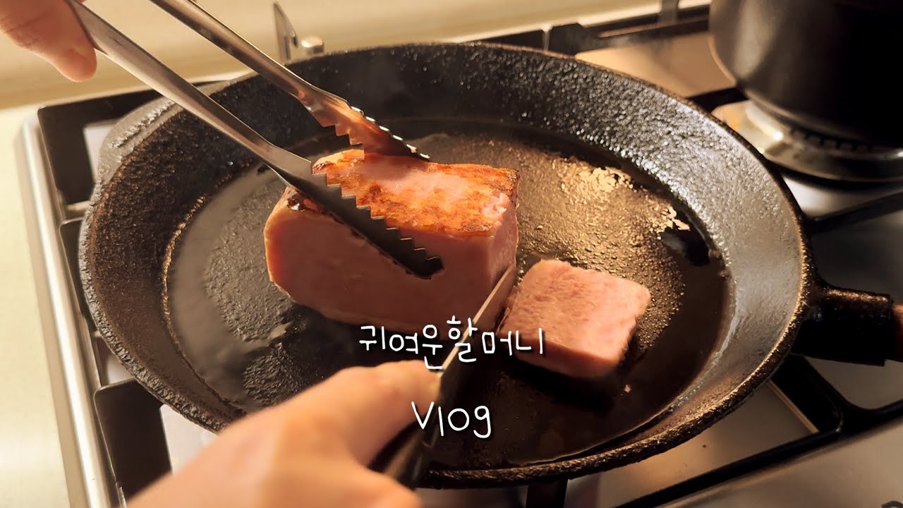 세종시민의 금토일 브이로그 갑작스러운 추위에 피크닉 갔다가 순두부찌개와 스팸으로 몸 녹이기 남산왕돈까스 버터치킨카레