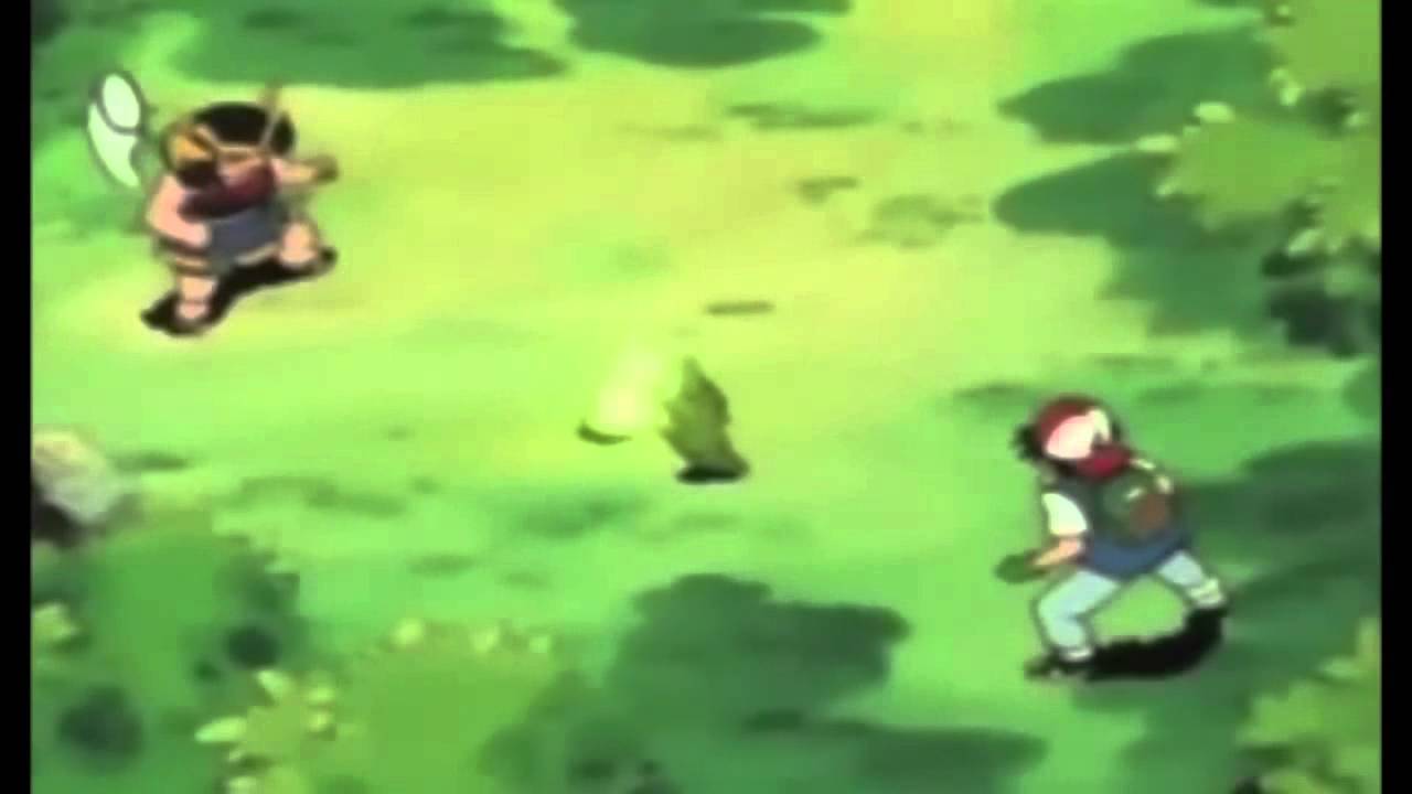 Metapod vs. Metapod - AMV - Smoking Gun - YouTube