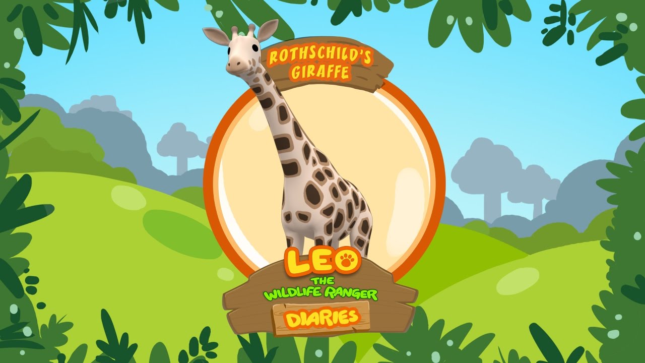 Rothschild's Giraffe - Leo The Wildlife Ranger Animal Diaries | Animal ...