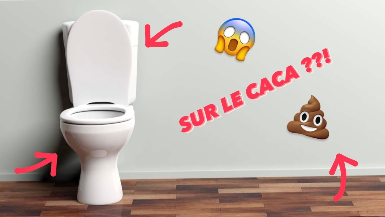 3 ANECDOTES AUTOUR DU CACA !!! - YouTube