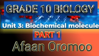 Biology Grade 10 Unit 3 100 Exam Questions With Answers Tutorial In ...