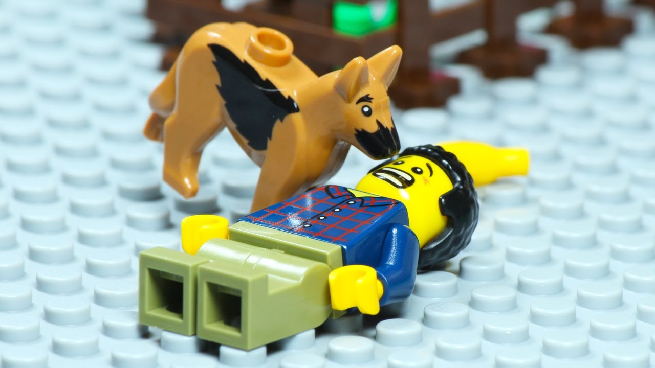 Lego City Veterinary Dog Rescue - YouTube