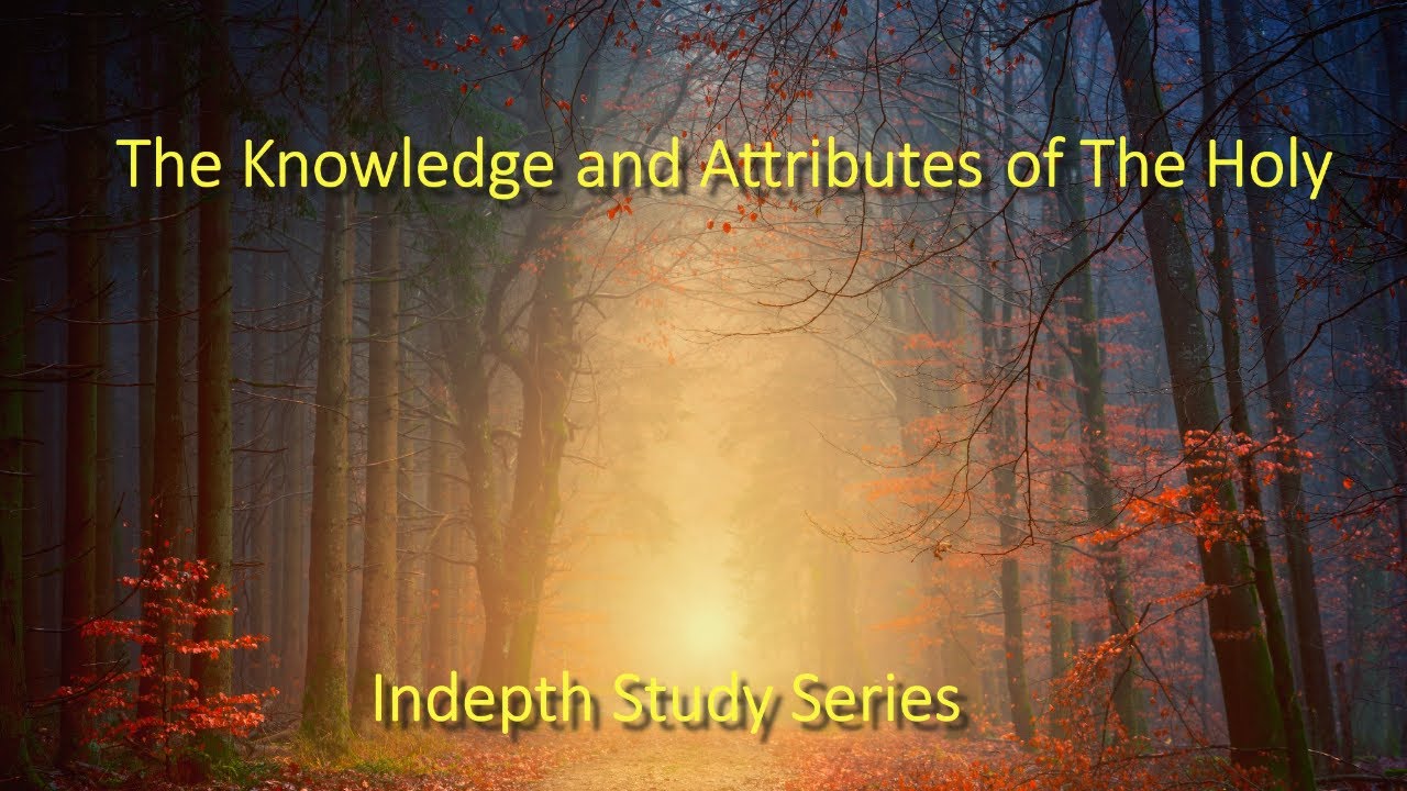 The knowledge and Attributes of The Holy P16 The Goodness of God - YouTube