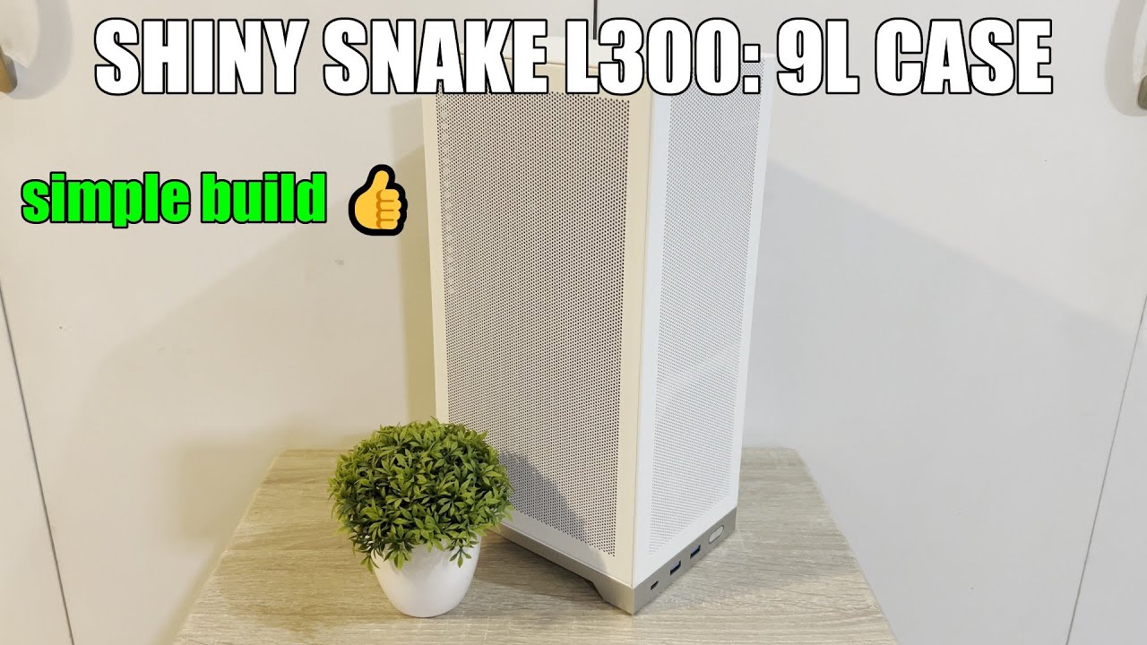Shiny Snake L300 | A 9L SFF ITX Build - YouTube