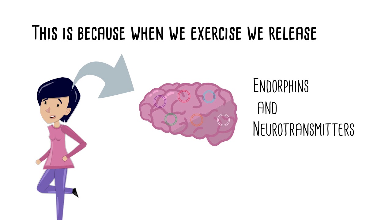 The Brain and Exercise | Neuro Champions - YouTube