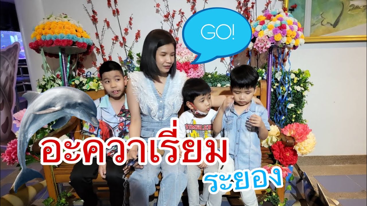 อะควาเรี่ยม ระยอง #พาไปดูปลา @3sab.family - YouTube
