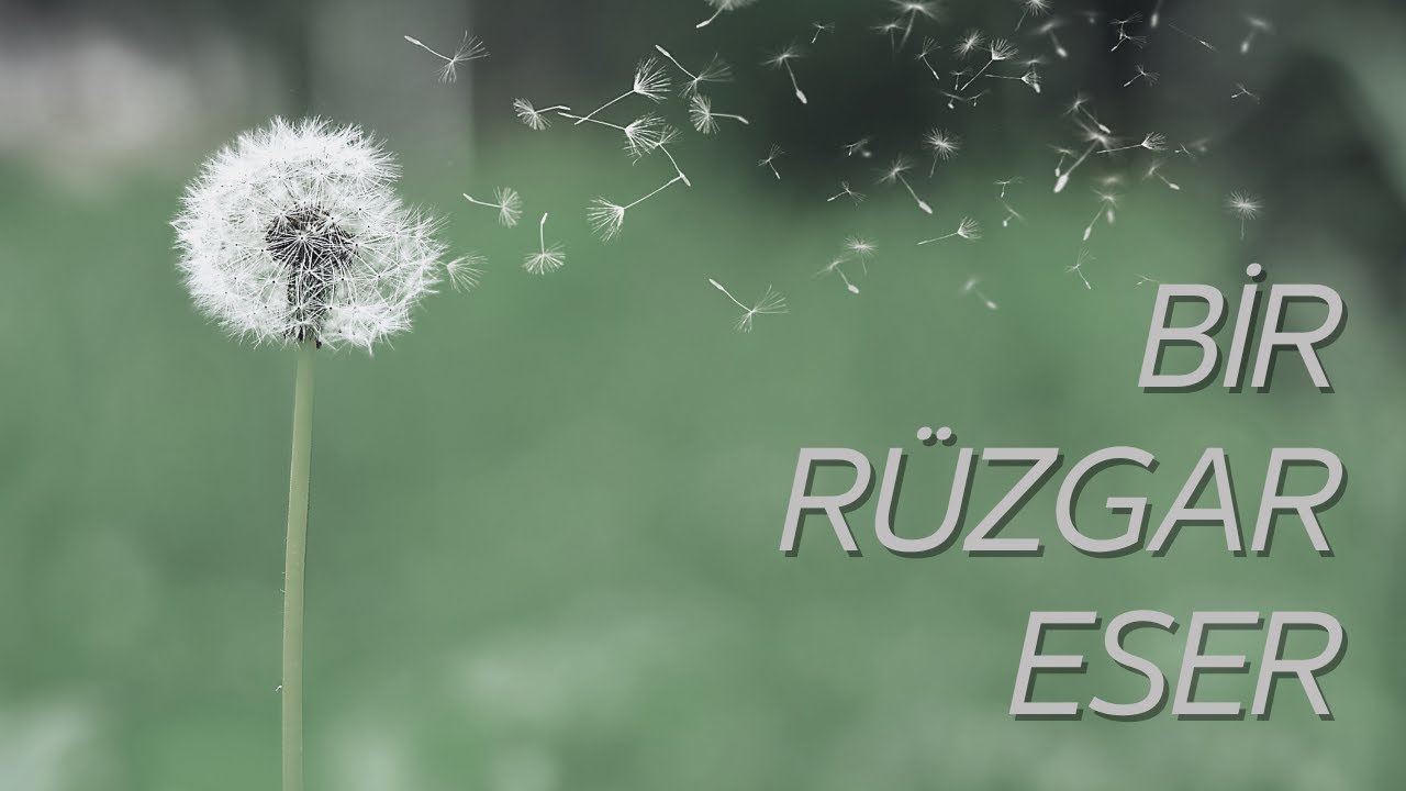 Bora Erdem / BİR RÜZGAR ESER İÇİMDE 💨 | 2025 YENİ SLOW ŞARKI 🎵 | - YouTube