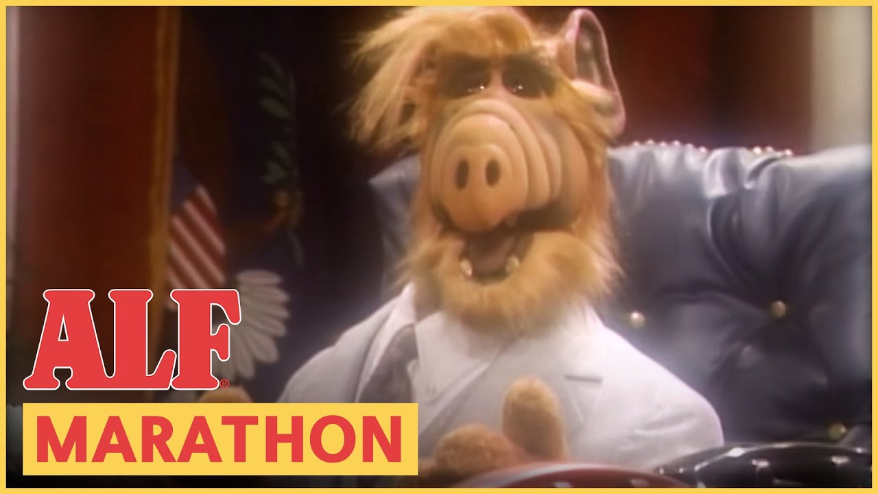 ALF Gets Political?! | ALF | FULL Episode Marathon - YouTube