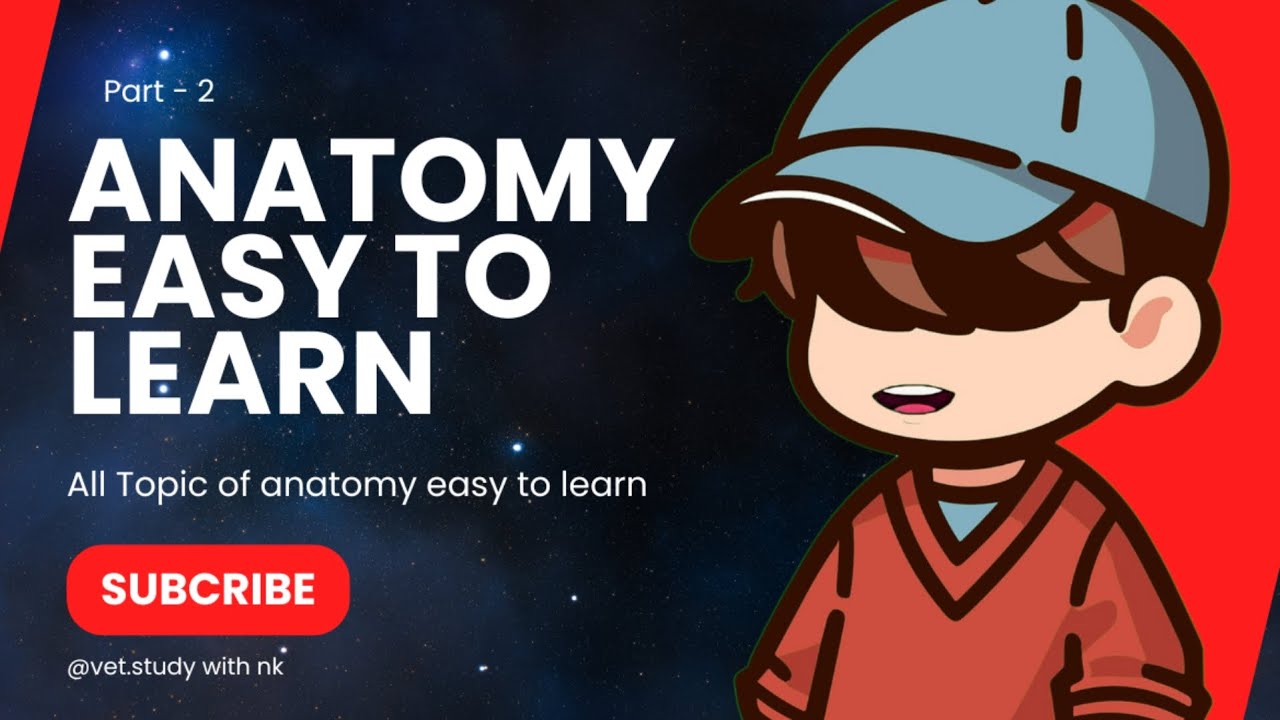 veterinary anatomy 2nd class | veterinary anatomy | veterinary student ...
