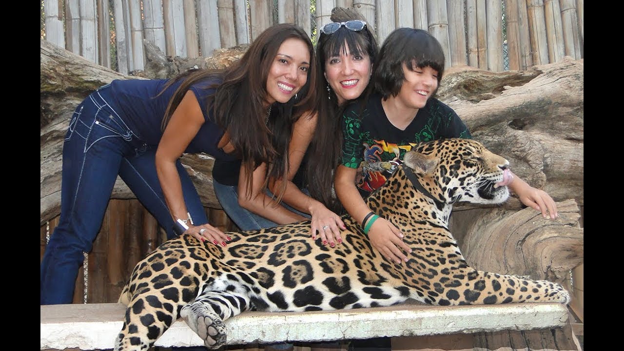 MORELOS: ZOOFARI gran entretención familiar con Denisse Wolf - YouTube