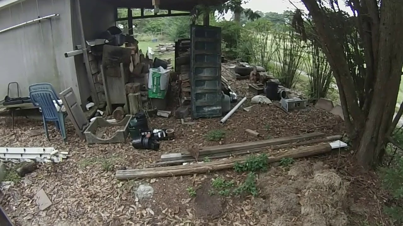 Mosquito Farm - YouTube