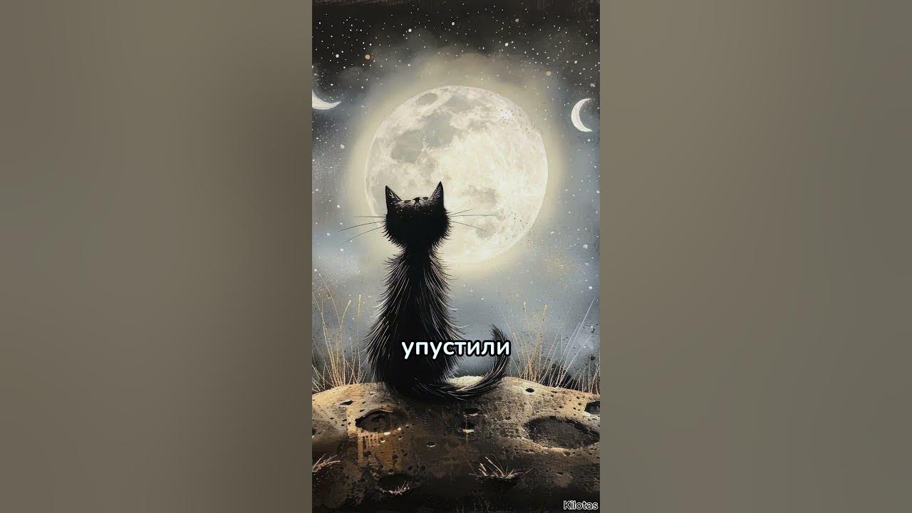 4 вещи, о которых люди жалеют перед смертью - YouTube