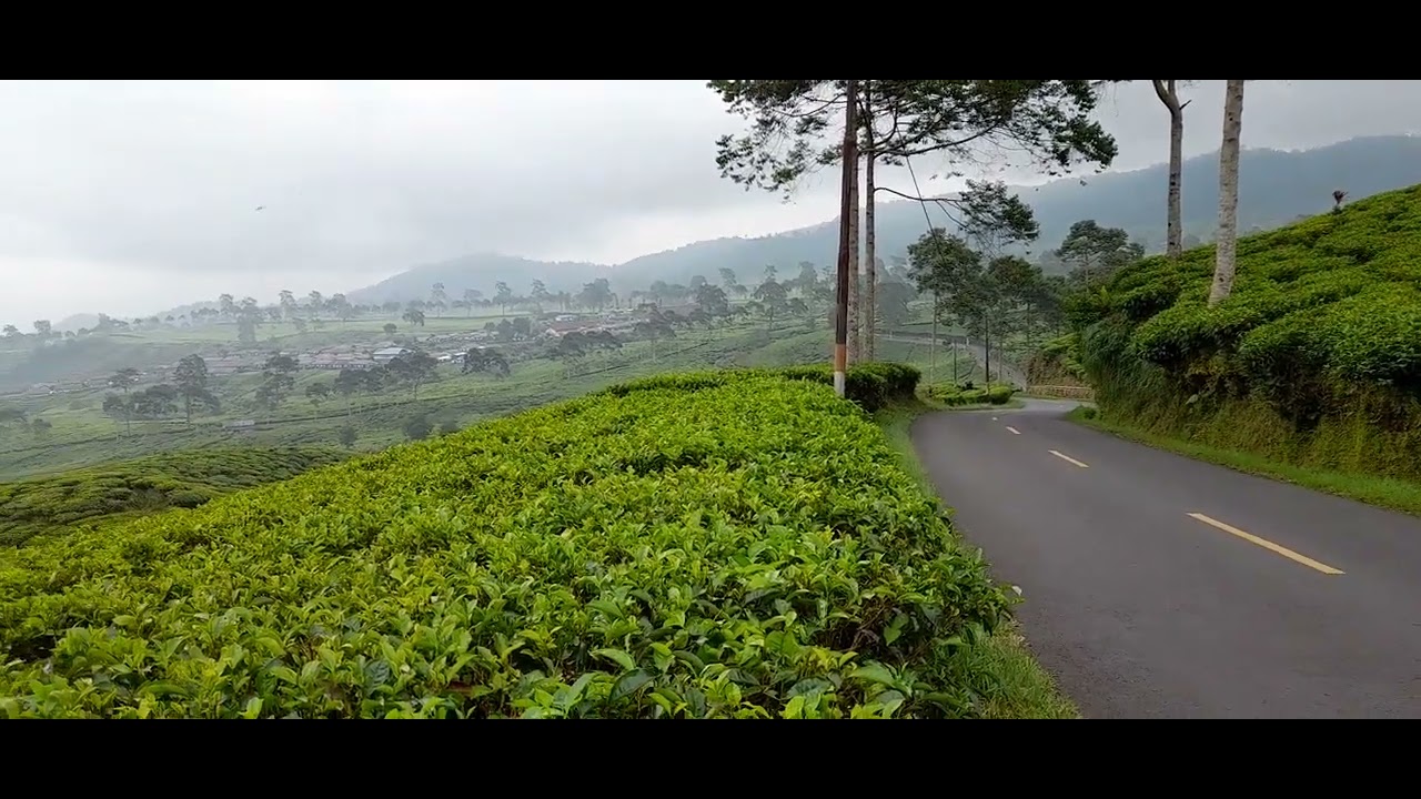 udara sejuk ciwidey - YouTube