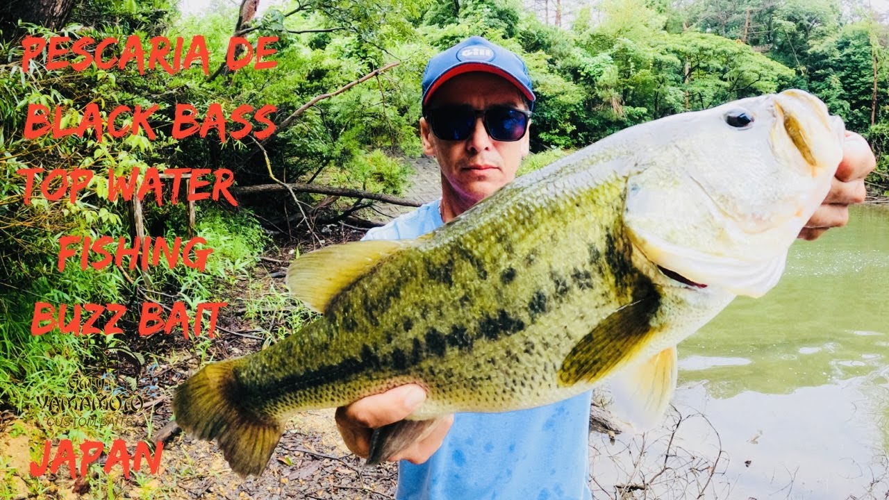 TOP WATER BASS FISHING - LURE BUZZ BAIT - GARY YAMAMOTO - PESCARIA DE ...