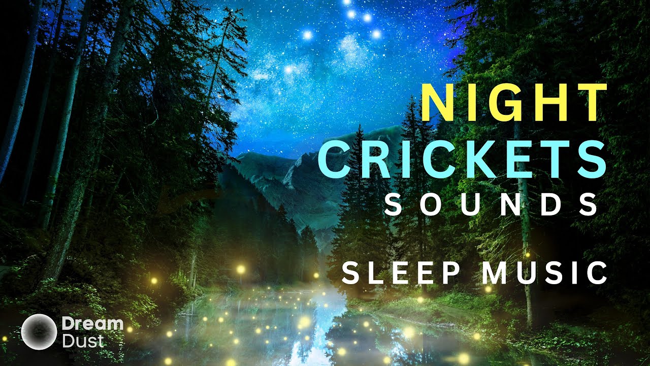 NIGHT FOREST CRICKETS CHIRPING SOUND - Nature sounds - YouTube