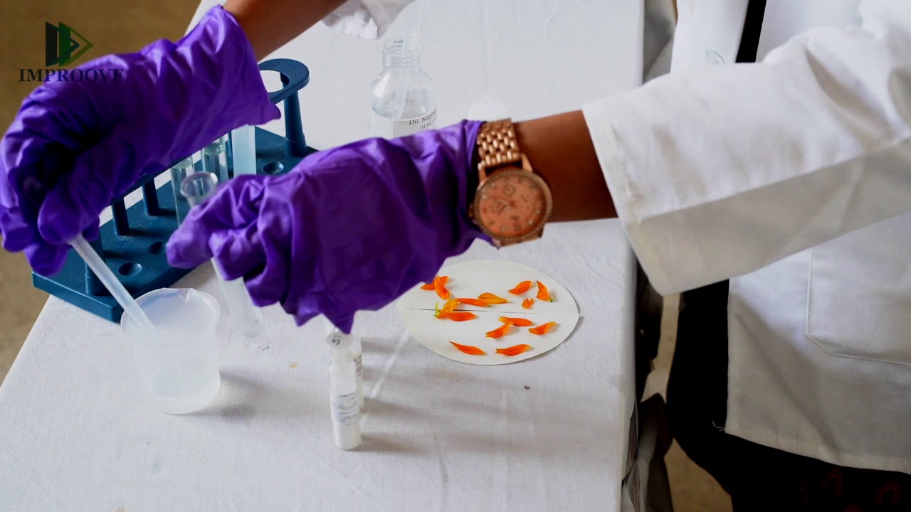 Class 10 Chemistry practical experiment: Identify baking soda from ...