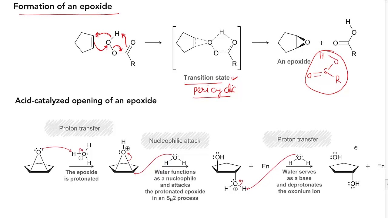 ANTI HYDROXYLATION - YouTube